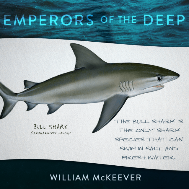 About Sharks – Emperors of the Deep- The Exciting New Book on Sharks
