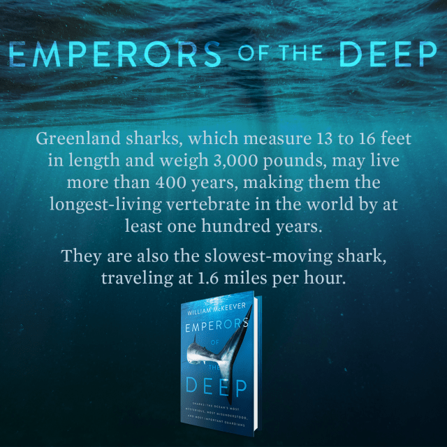 About Sharks – Emperors of the Deep- The Exciting New Book on Sharks